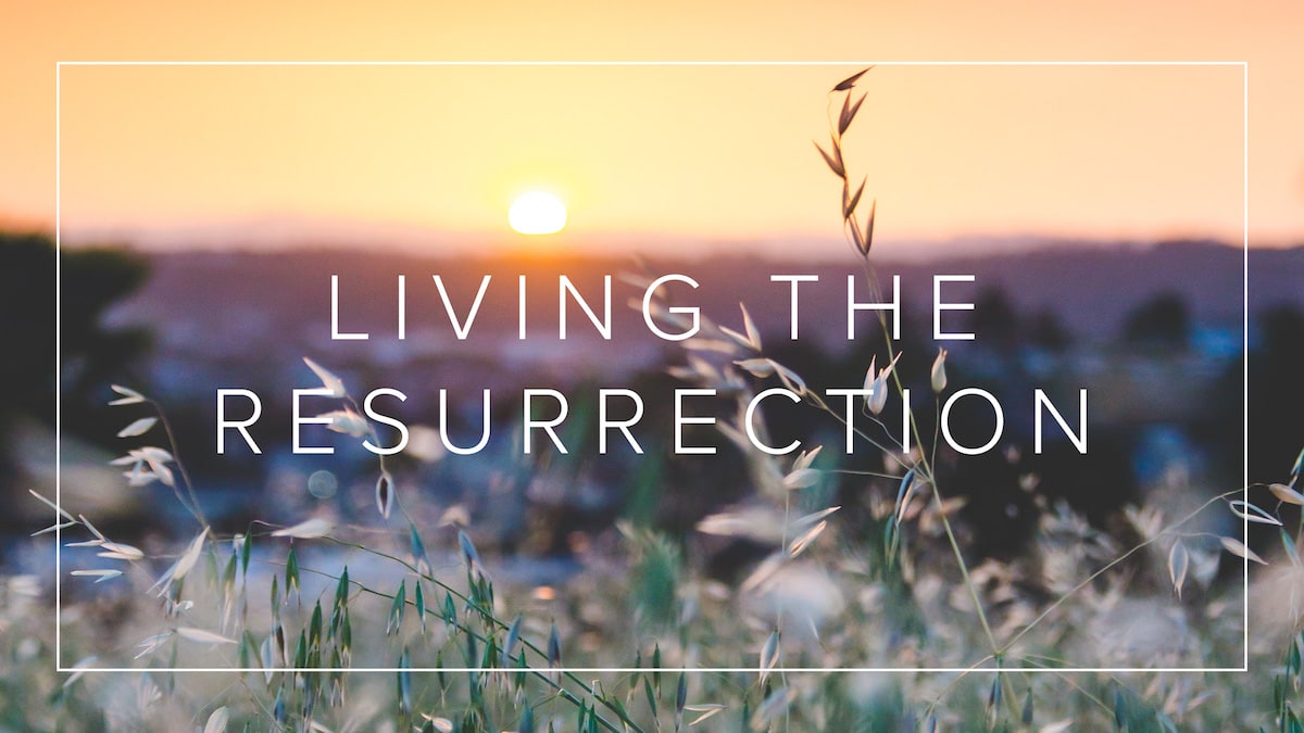 Living the Resurrection: An Easter Message from Bishop Todd | Churches ...
